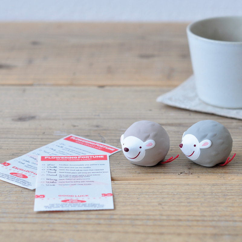 Hedgehog Fortune Seed Planter - Little Lulubel